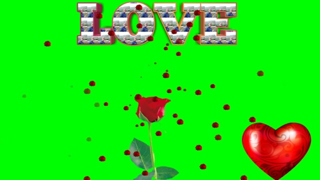 Funny Girl, Funny Green Screen Effects, Couple. Free Stock Video - Pixabay