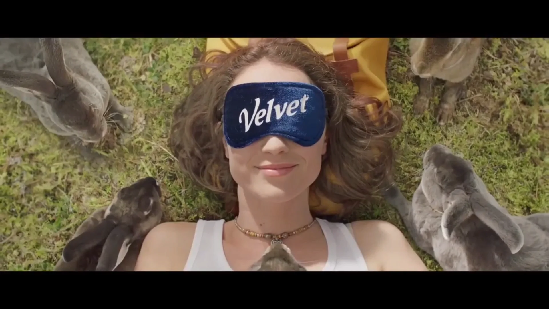Velvet Toilet Tissue Paper Rolls At HuntOffice on Vimeo