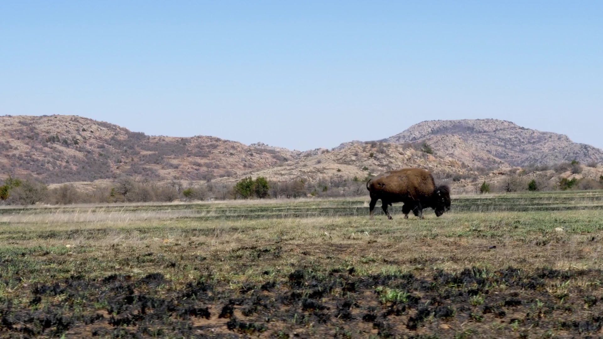 State - Oklahoma on Vimeo