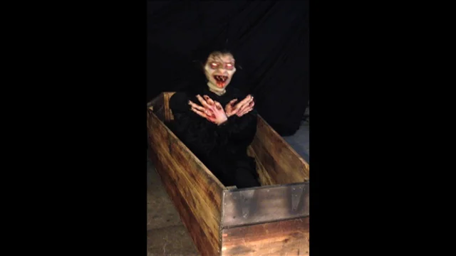 Real Vampire Coffin