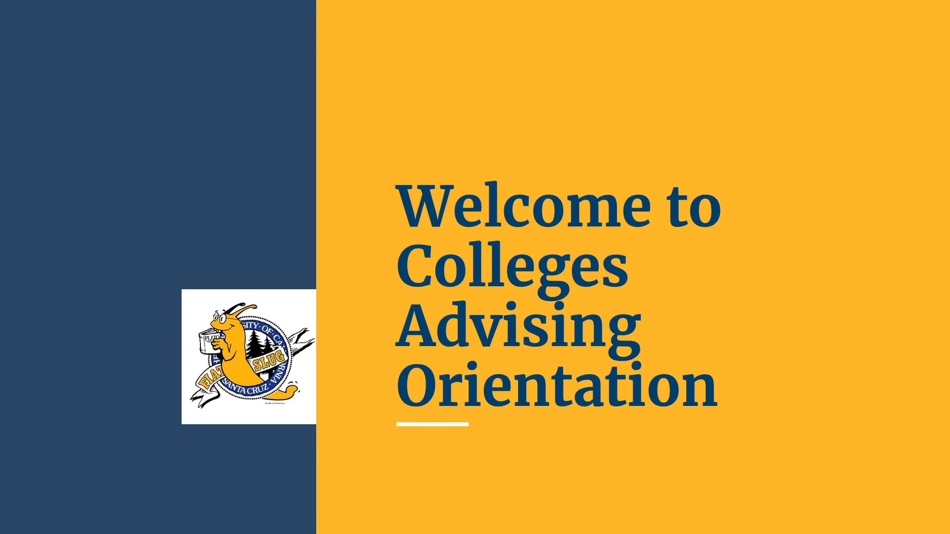 College Advisor Welcome Orientation 2022-23
