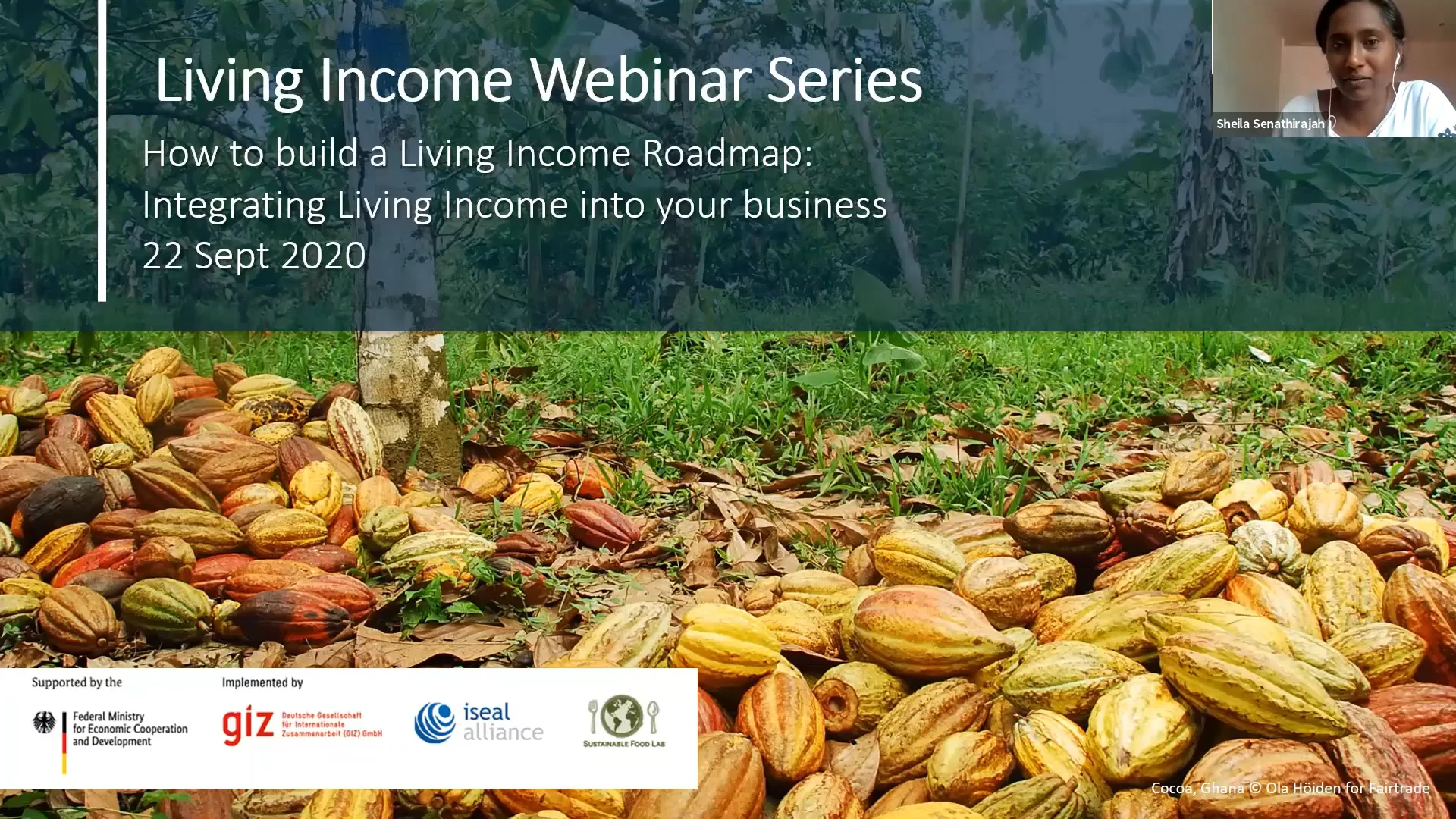 Living Income Webinar Series: How to build a Living Income Roadmap ...