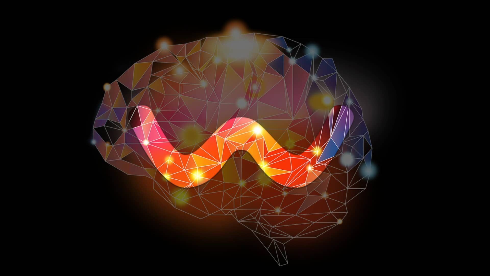 wizdom.ai Overview on Vimeo