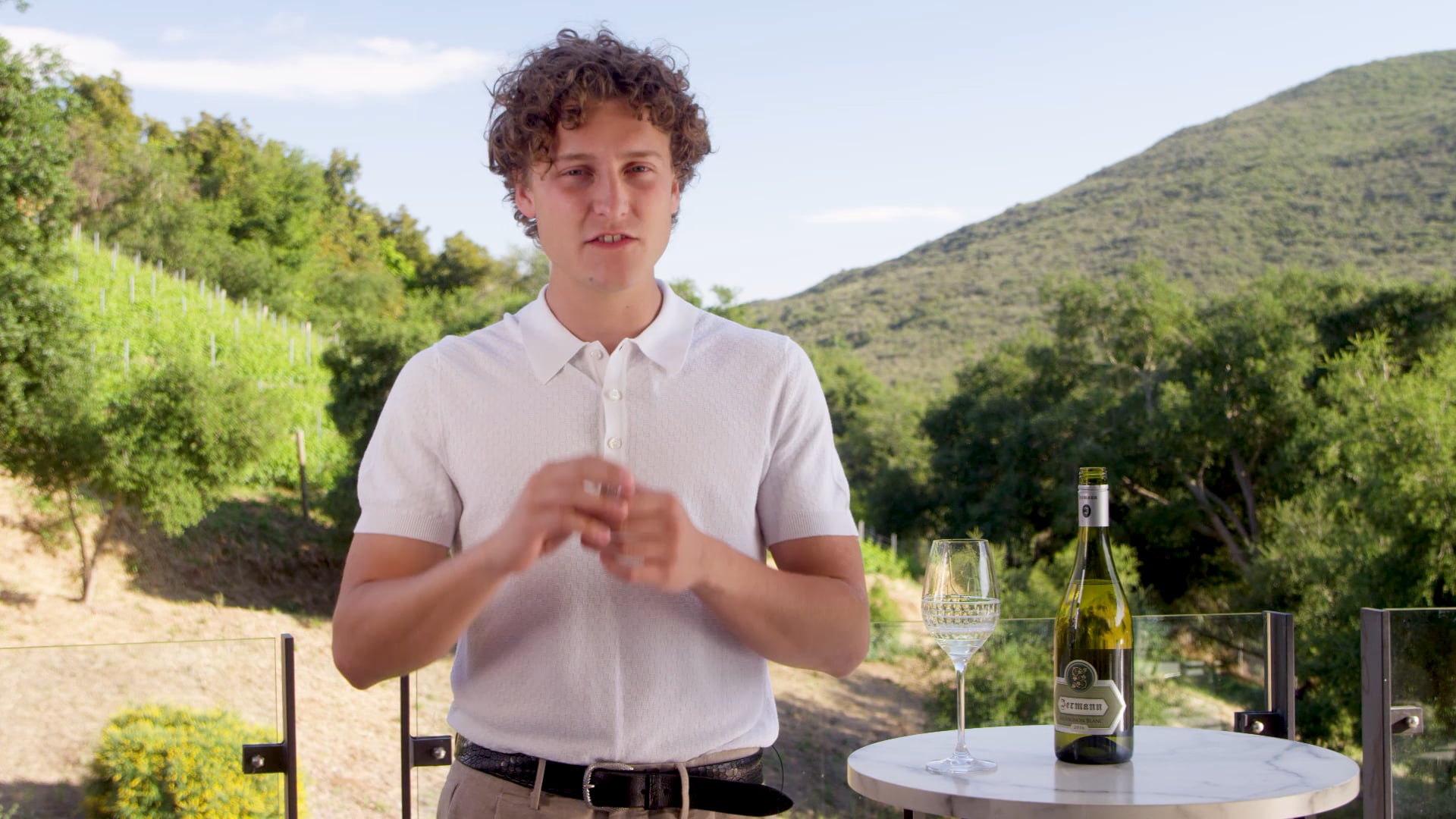 Felix Jermann Sauvignon Blanc Tasting Video on Vimeo