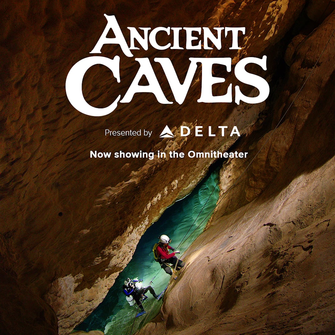 Filming a movie in a cave: challenging and unexpected | Ancient Caves ...