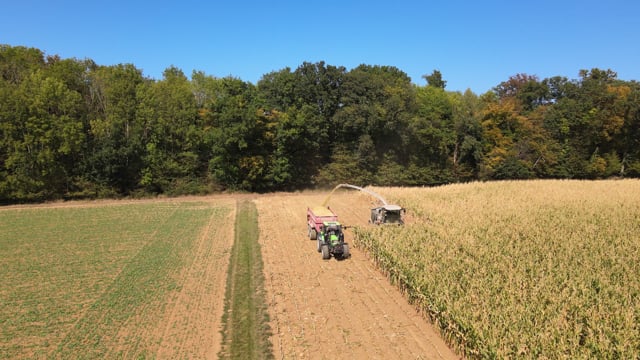 3+ Free Maize Crop & Corn Videos, HD & 4K Clips - Pixabay