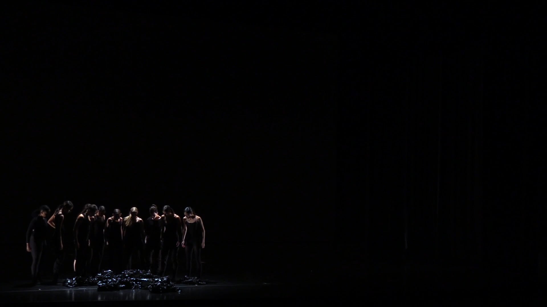 Stampede.....Ohm - (NCDP 2019 Gala Performance) on Vimeo