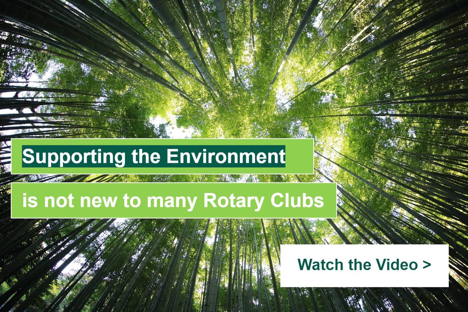 supporting-the-environment-is-a-new-area-of-focus-what-are-the ...