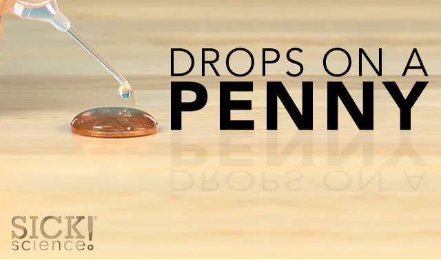 Cohesion Of Water On Penny