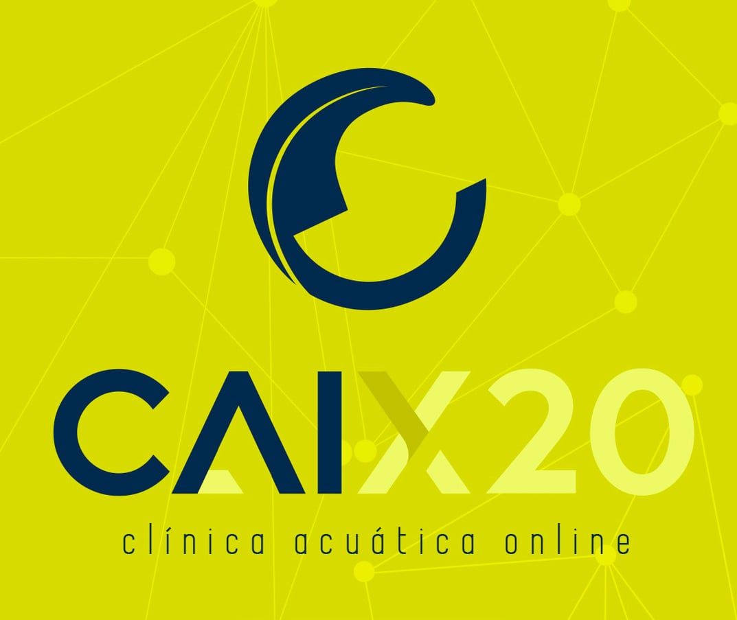 CAIX 2020 v1 on Vimeo