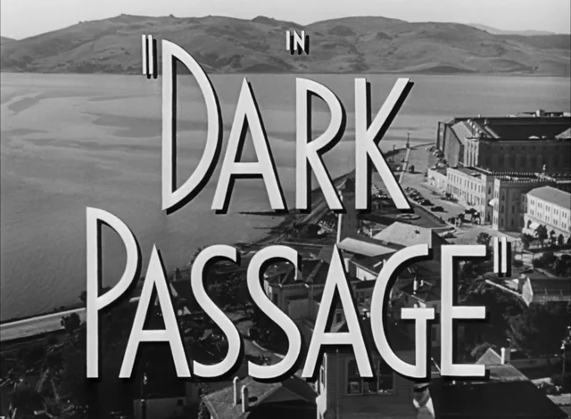 Dark Passage Poster