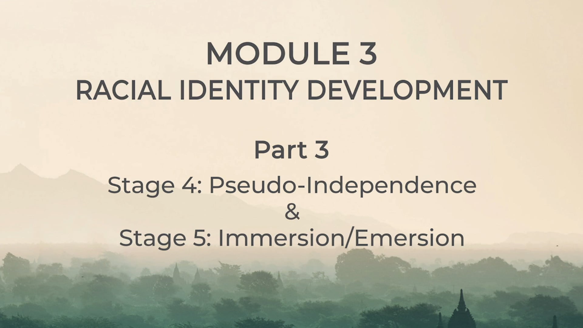Module 3: Racial Identity Development - learn.therapywisdom.com Module 3: Racial Identity Development - learn.therapywisdom.com