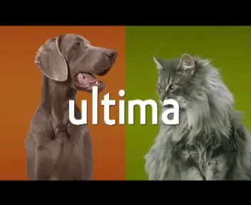 Affinity - Ultima - "Mixta" on Vimeo