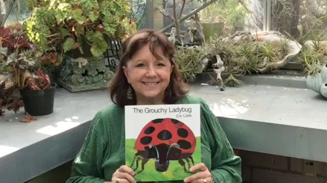 The Grouchy Ladybug Story