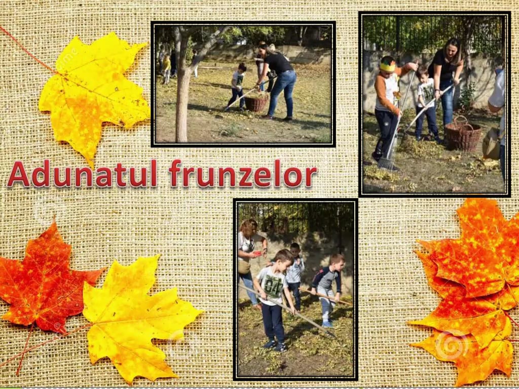 recolta toamnei_Slomo on Vimeo