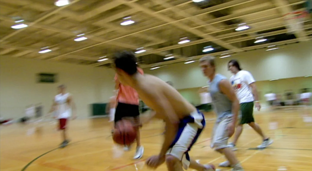 The Disappearing Male - Preview