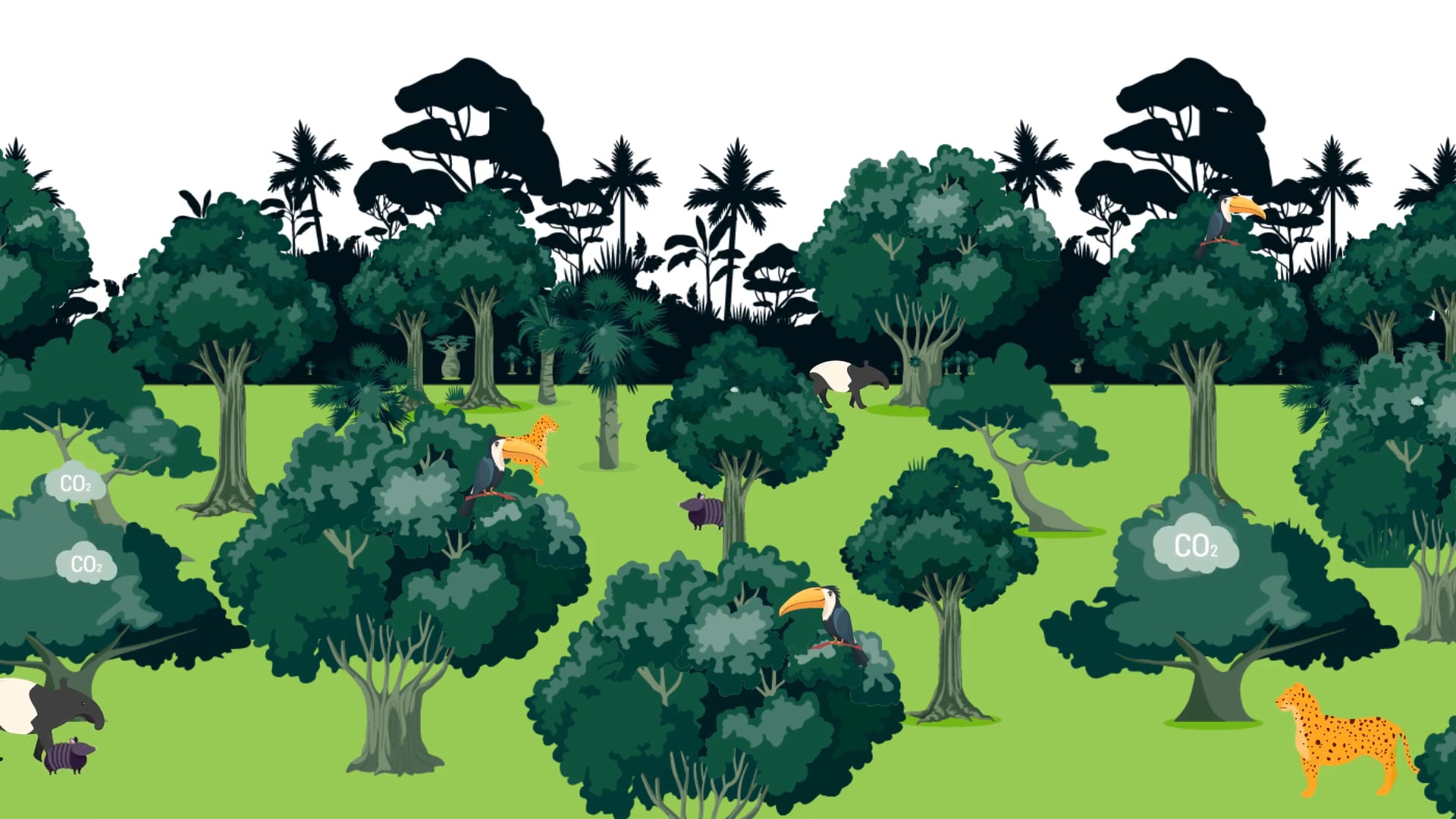 Quadriz REDD+ VCS Carbon Offset Program on Vimeo