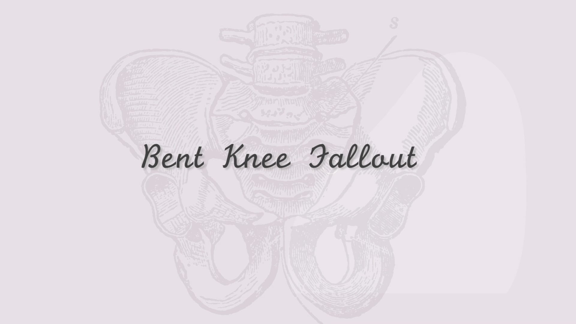 Pina Shah - Core Exercises - Bent Knee Fallouts on Vimeo