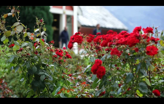 Orions belte - Alde sider_1.mp4 on Vimeo