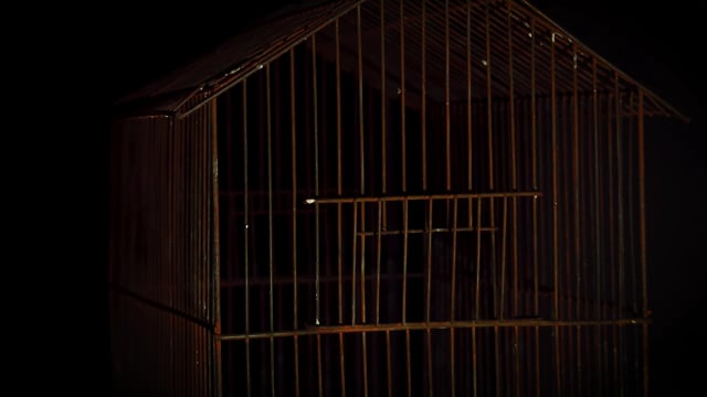 Rusty, Bird Cage, Cage. Free Stock Video - Pixabay