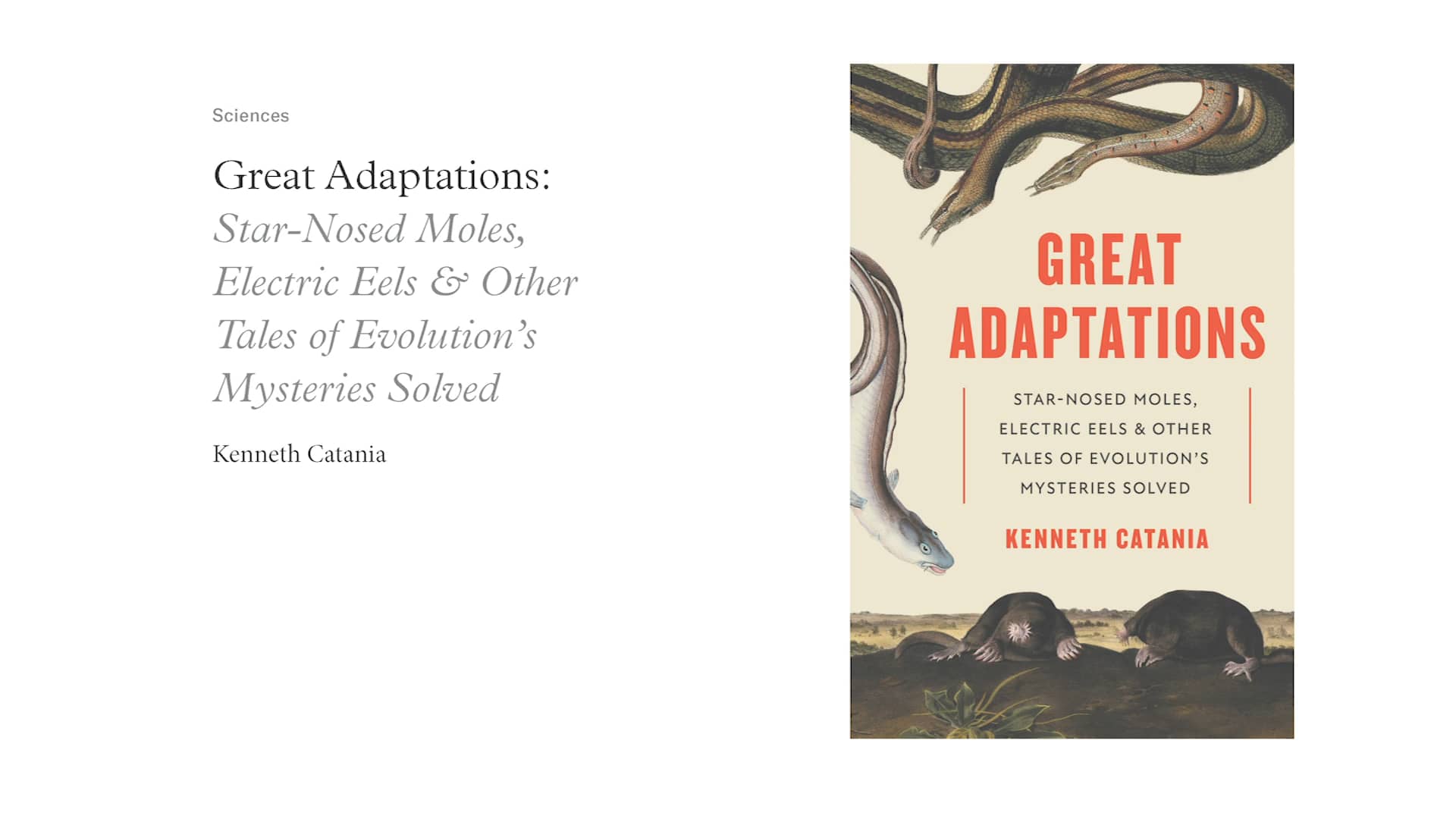 02 Great Adaptations by Kenneth Catania on Vimeo