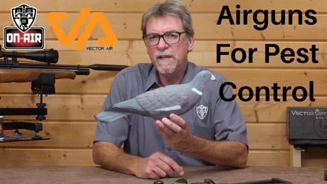 Airguns for Pest Control - Airgun101