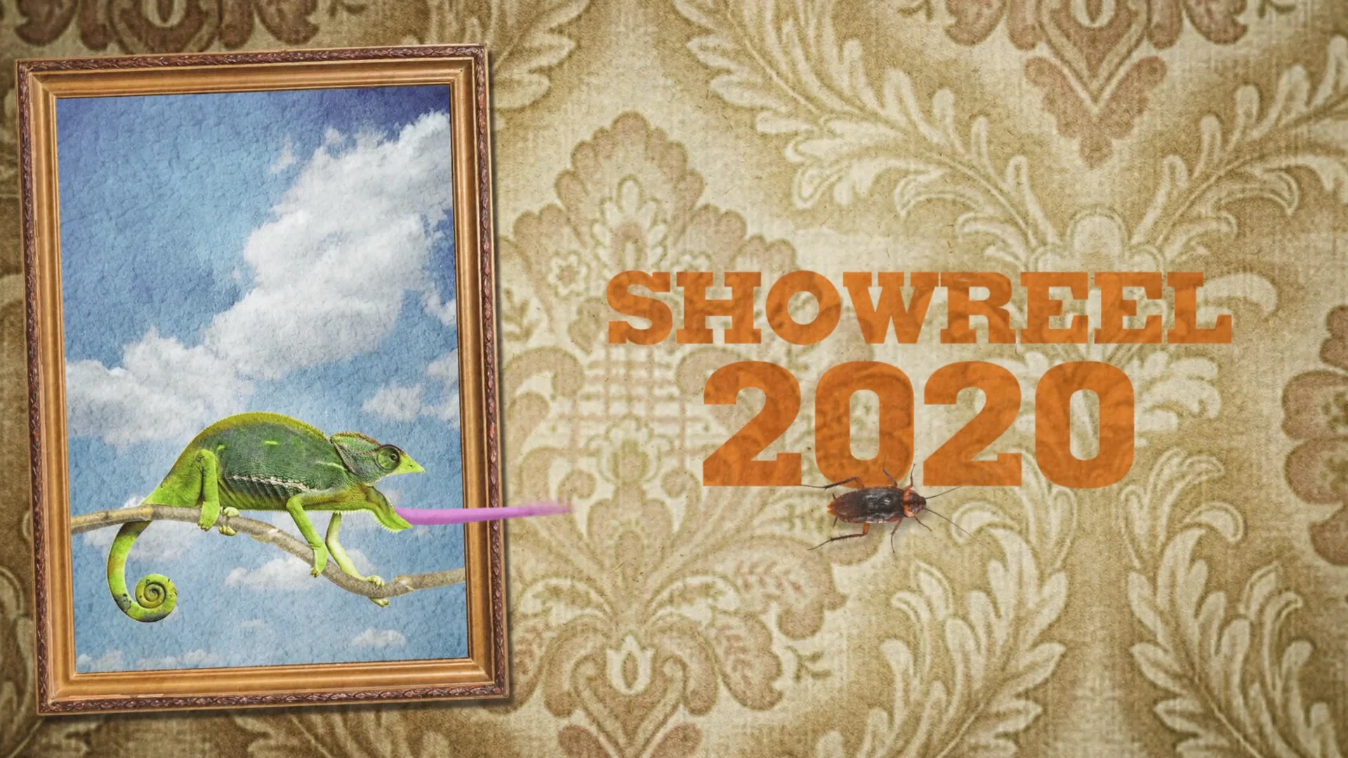 Alex Ardino Showreel 2020