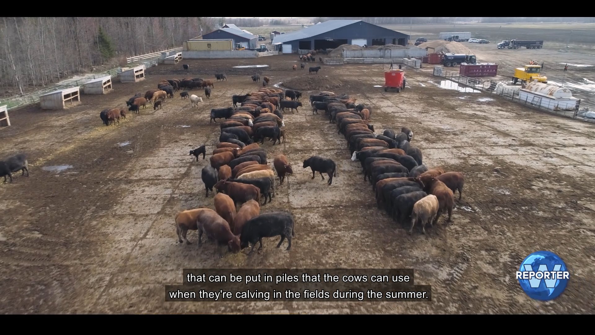 Reportage Serge Mainville ANGLAIS on Vimeo