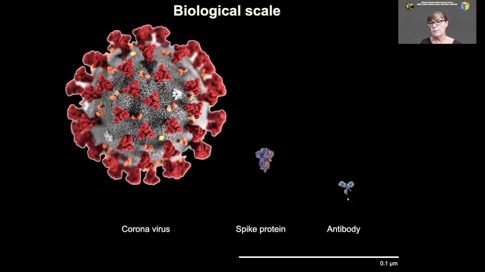 The Machinery of Life Functions Inside a Very Crowded Cell