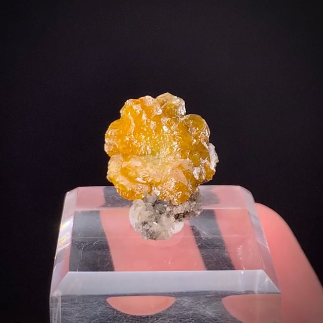 Wulfenite - PANC20-36 - Tsumeb Mine - Namibia Mineral Specimen