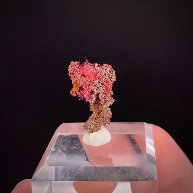 Cuprite var. Chalcotrichite on Copper - PANC20-28 - Ray Mine - USA ...