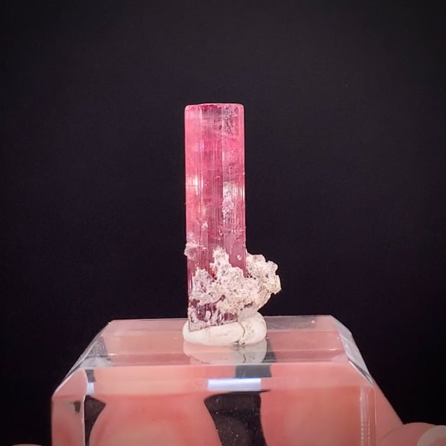 Tourmaline - PANC20-03 - Tourmaline Queen Mine - USA Mineral Specimen