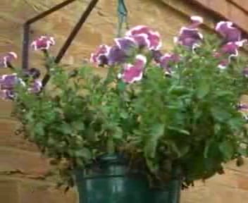 Kingsley Beat Early Home Demos Volume 2 - EARLY DOORS_1 on Vimeo