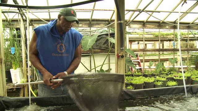 Will Allen: The Urban Farmer on Vimeo