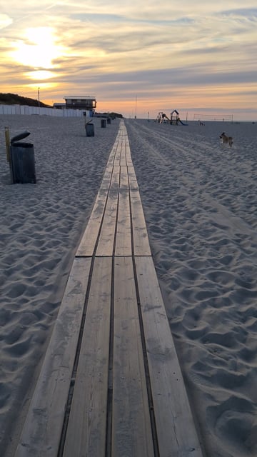 Sunset, Beach, Walk. Free Stock Video - Pixabay