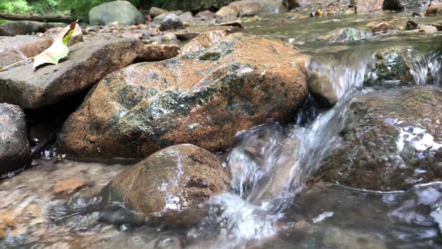 Zen, Nature, Peace. Free Stock Video - Pixabay