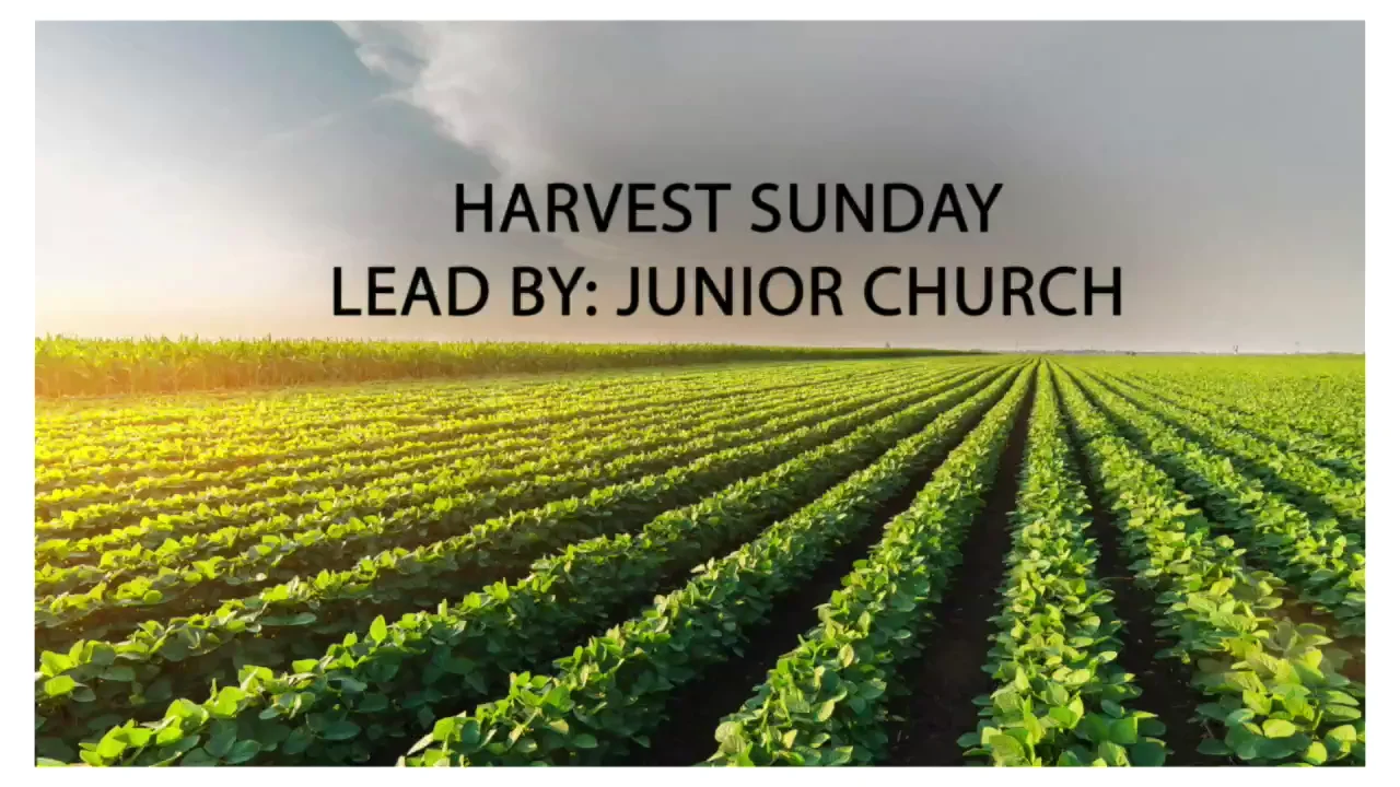 Harvest Sunday 11th October 2020 Eastleigh Baptist Church on Vimeo