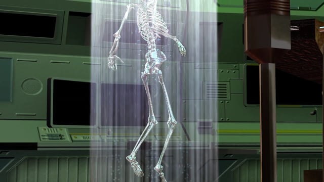 Skeleton Experience Human Free Stock Video - Pixabay