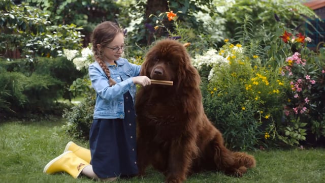 Marcin Filipowicz on Vimeo