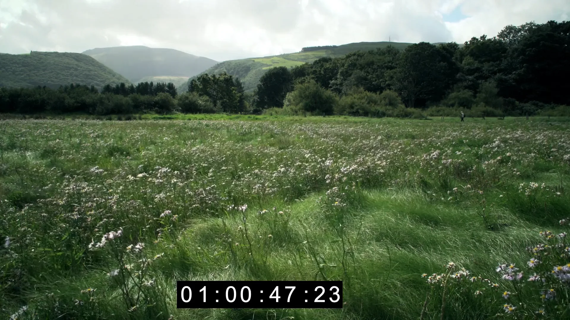 Part 1 Catena Sequence