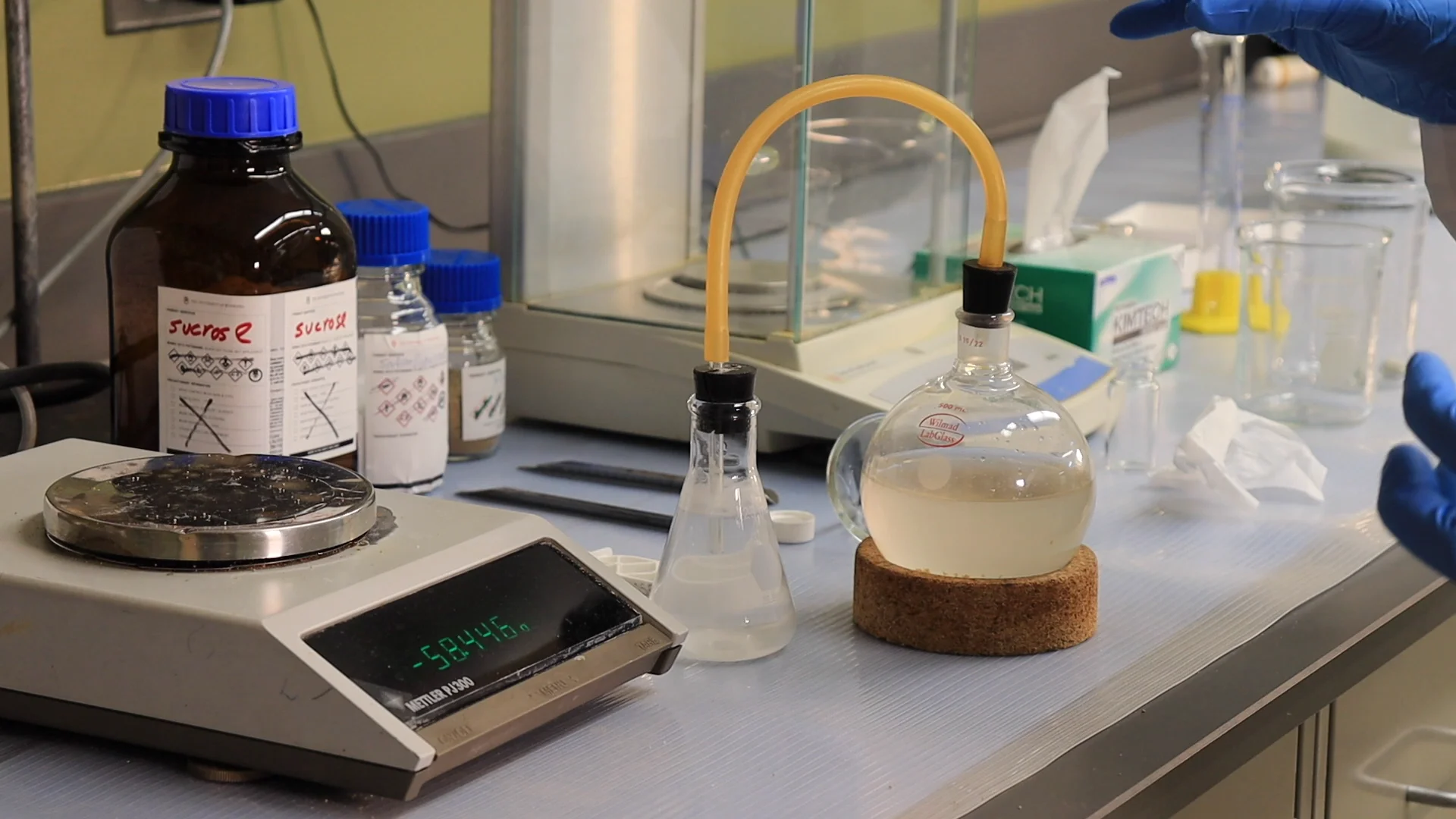 Biosynthesis 2 - Fermentation set-up