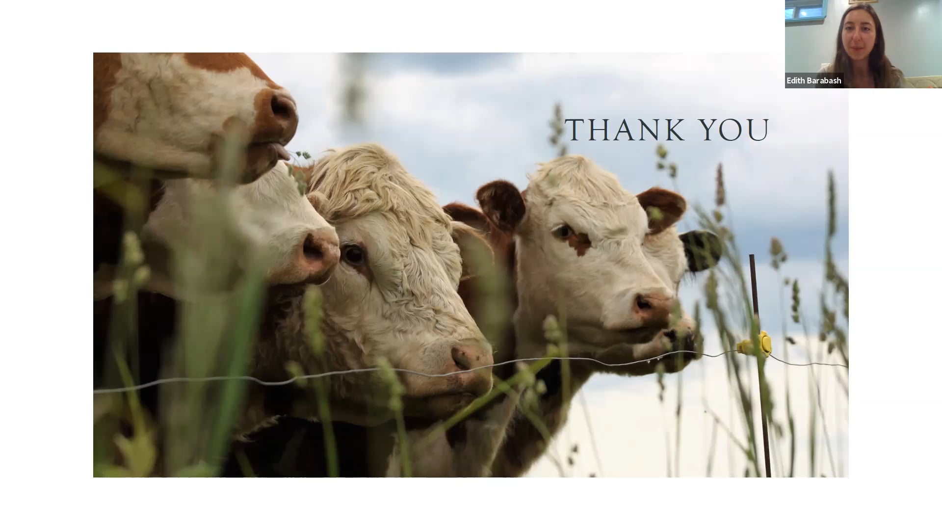 From The Farm To The Courtroom: What We Learn From Cows by Edith ...