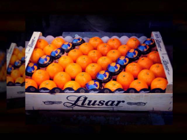 Antonio Llusar y CIA S.L. on Vimeo