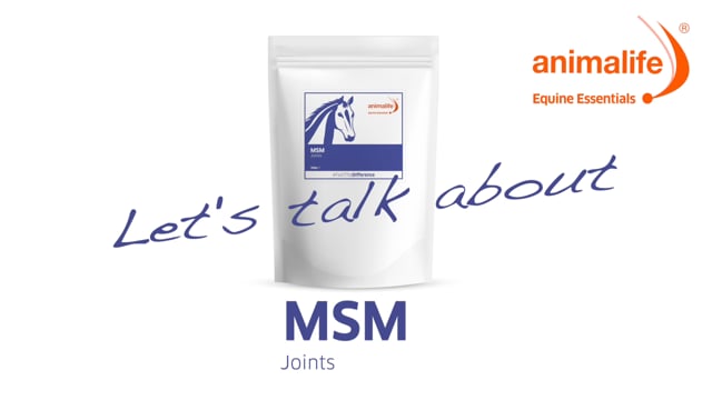 MSM For Horses | Animalife
