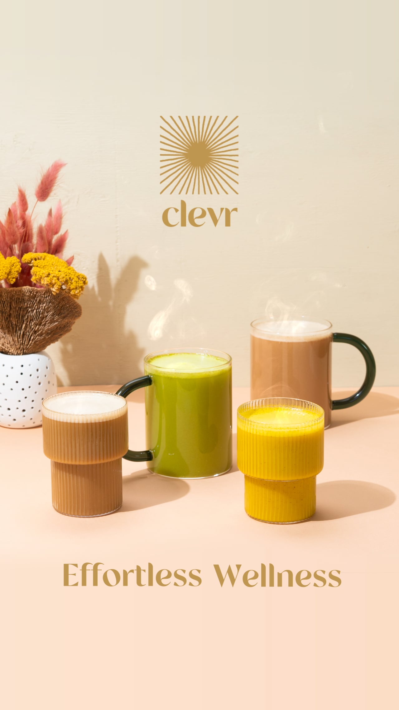 Knotably Studio Website — Clevr