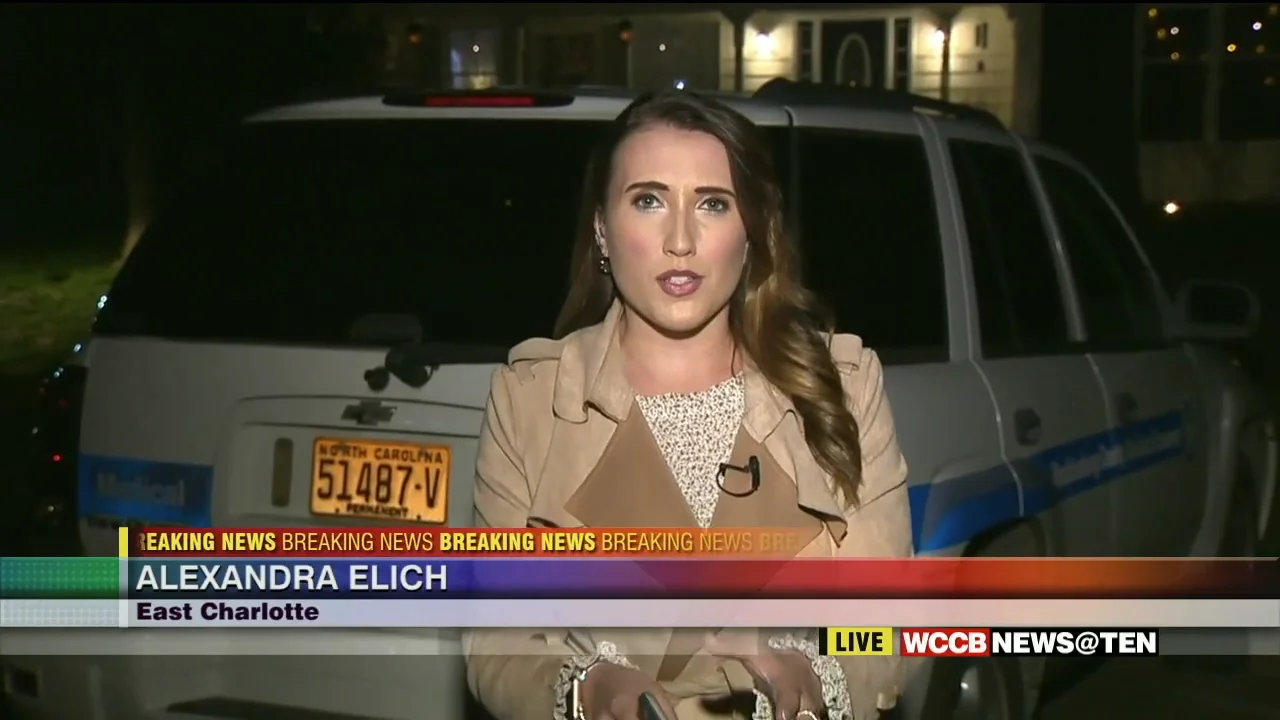 Alexandra Elich - Alexandra Elich Montage 2020 on Vimeo