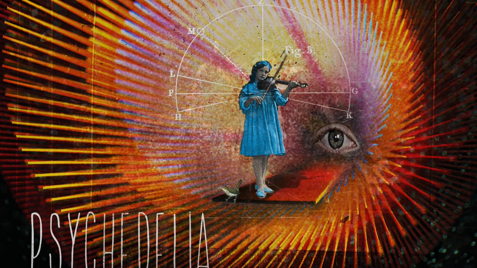 Psychedelia - Album Trailer on Vimeo