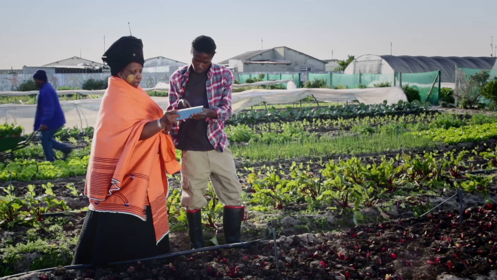 Standard Bank MyMoBiz ONLINE 60 REV on Vimeo