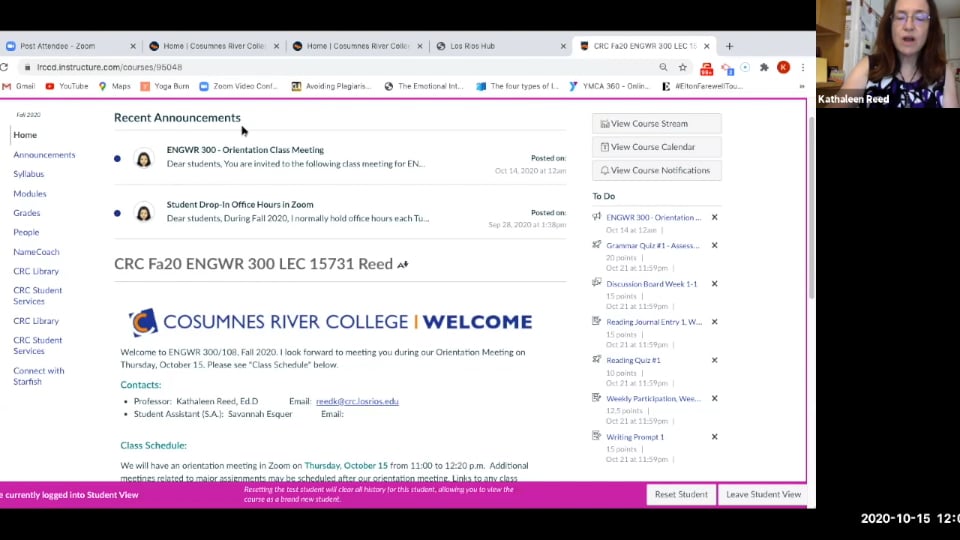 ENGWR 300 (15731) Orientation 10-15-2020 on Vimeo