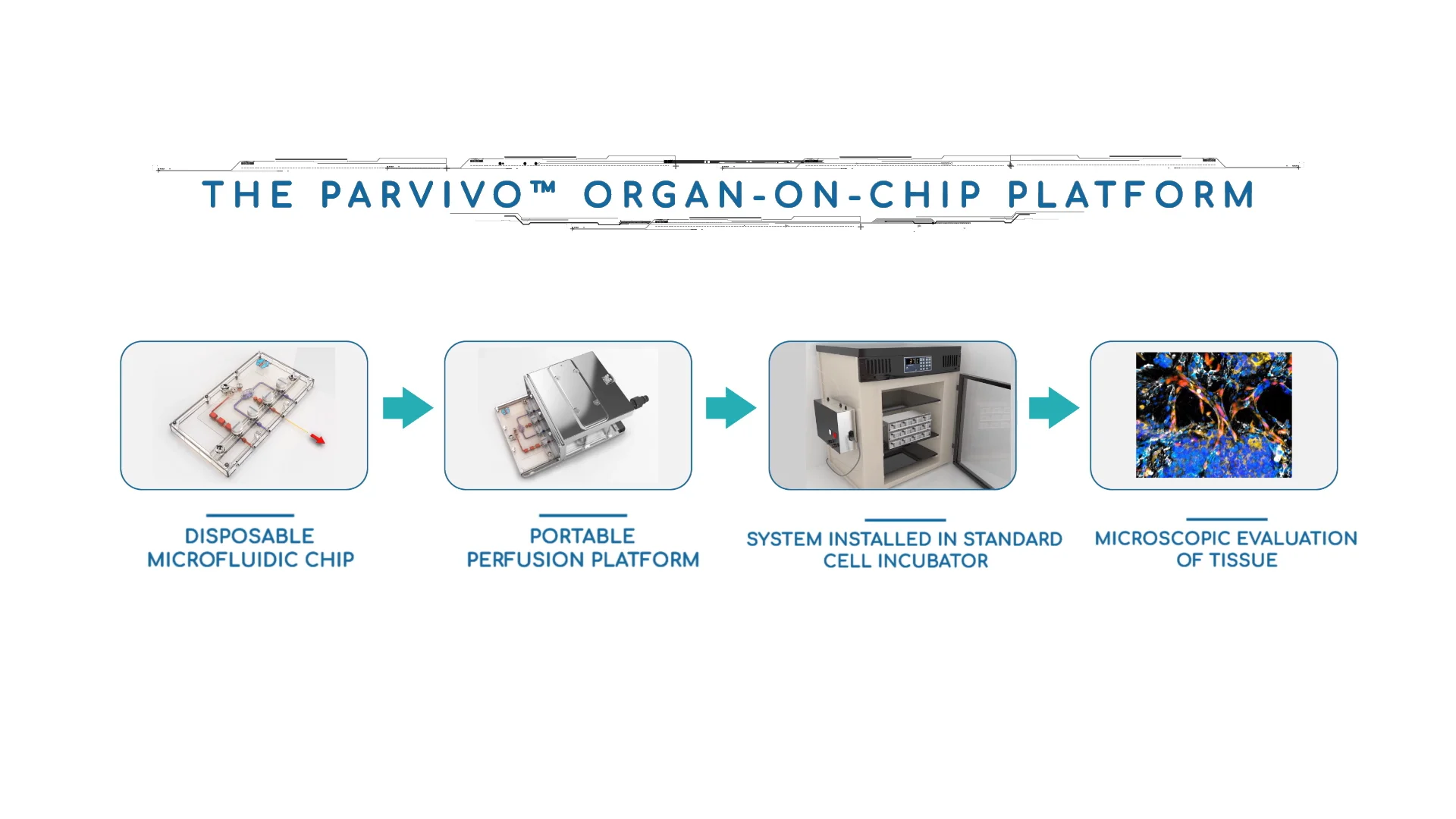 Nortis ParVivo | Organ-On-Chip Platform on Vimeo